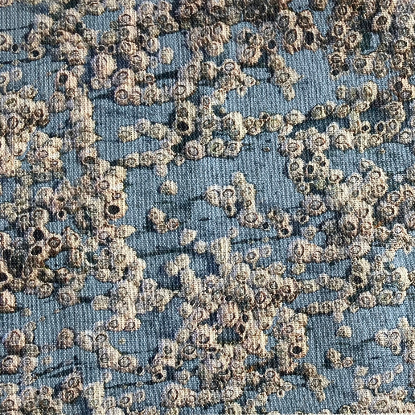 NEW Barnacles Blue Tide Linen – Juliette O Designs